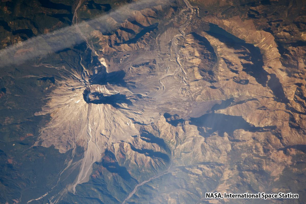 How were forests influenced by the eruption? | Mount St. Helens Science ...