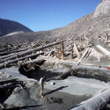 Image Gallery: Lateral Blast | Mount St. Helens Science and Learning Center